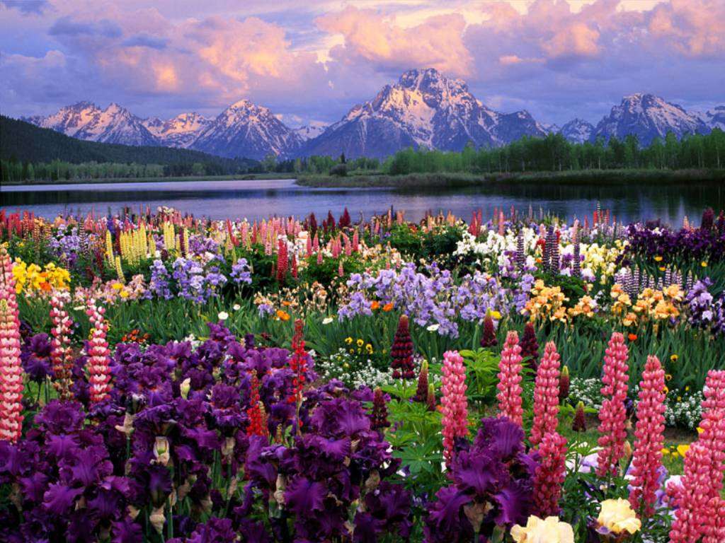 Spring in Anchorage: Things to Do – Anchorage Activities