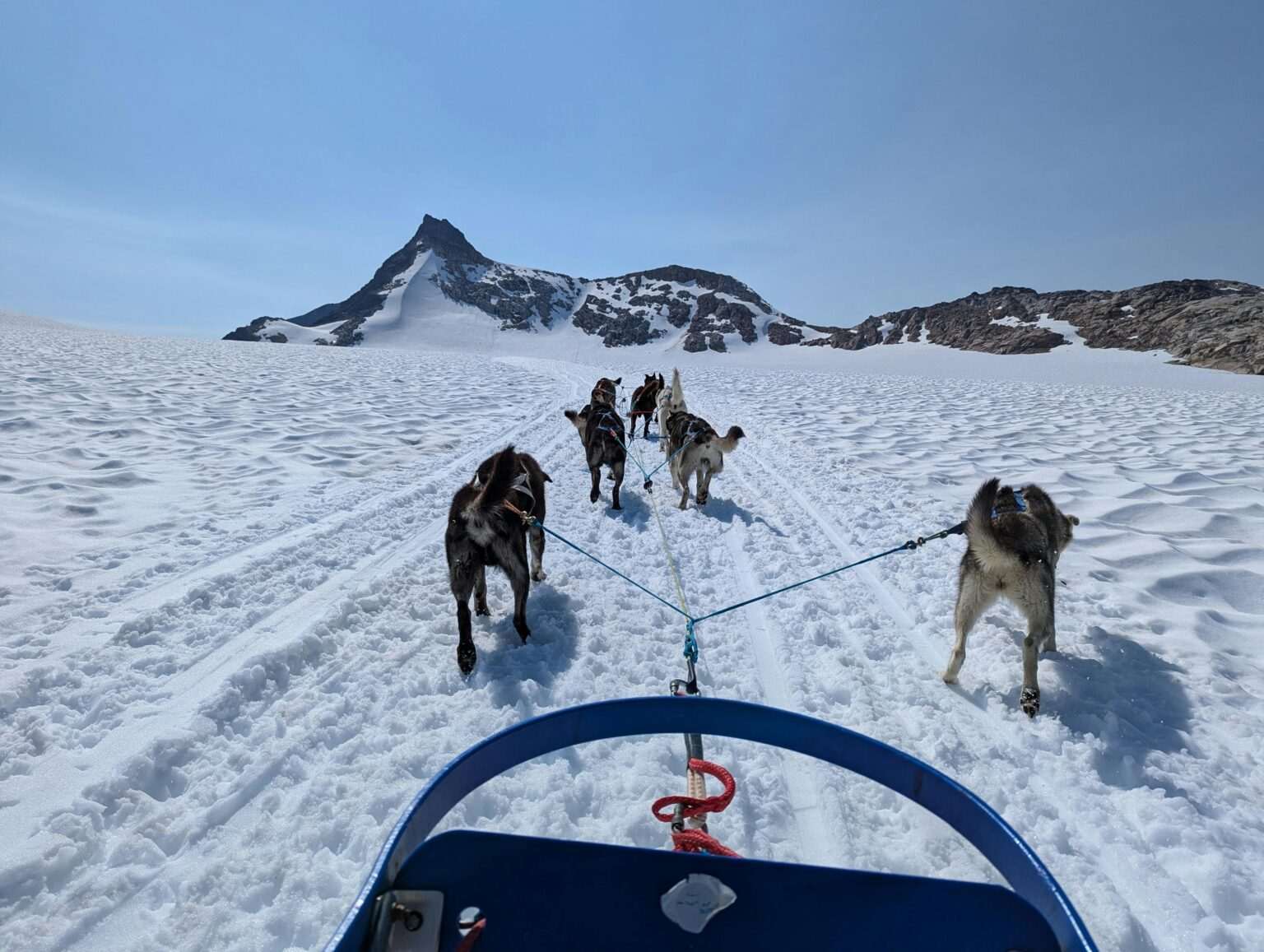 Alaska Glacier Combination Tours | Anchorage, Alaska