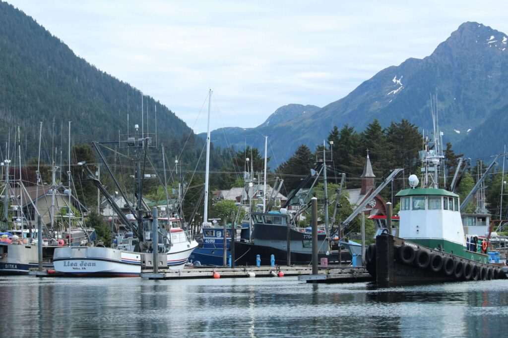 Things to Do in Anchorage in Summer – Anchorage Activities